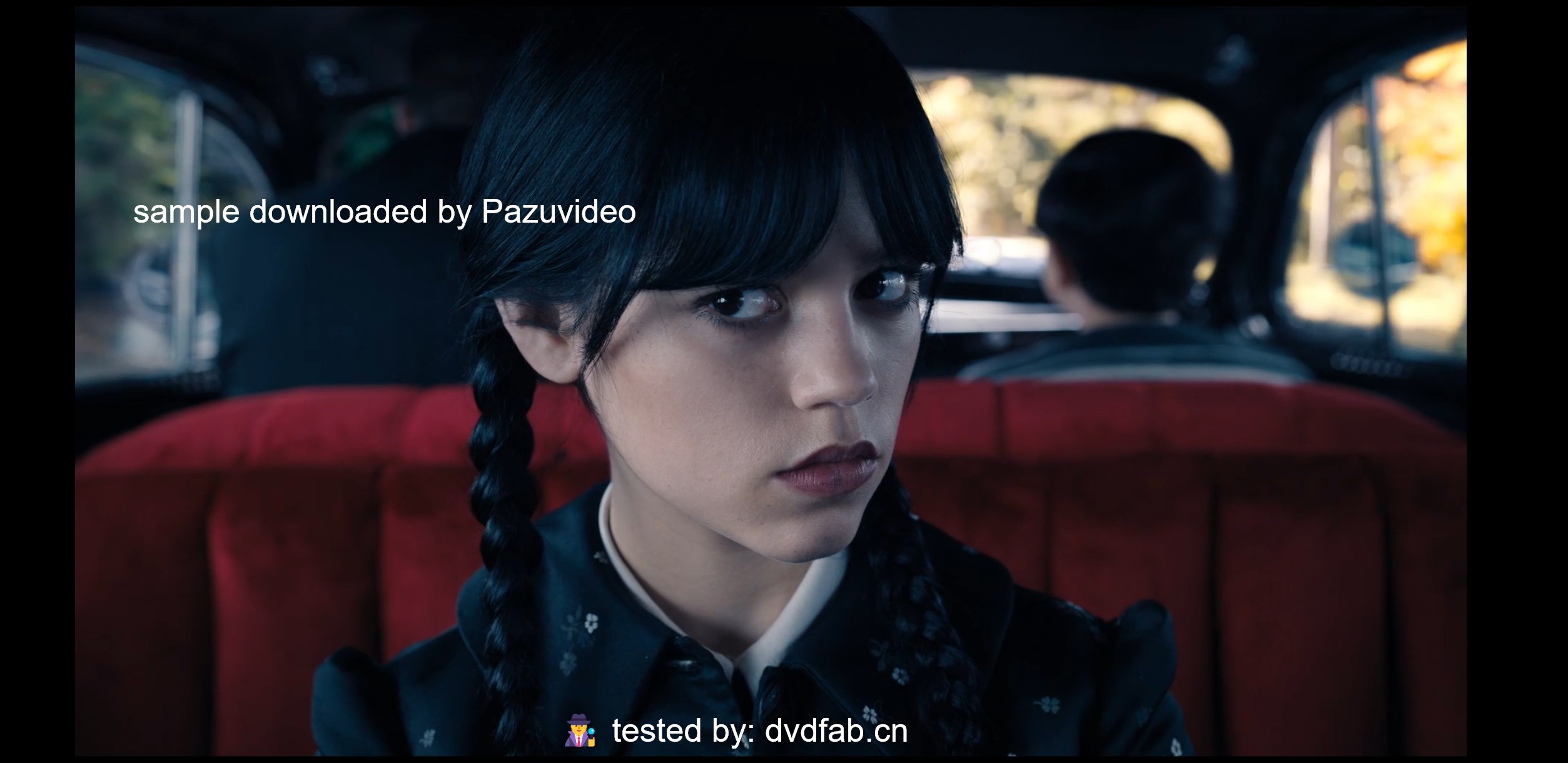 Pazu Netflix Video Downloader Überprüfung: Eigenschaften & Einschränkungen