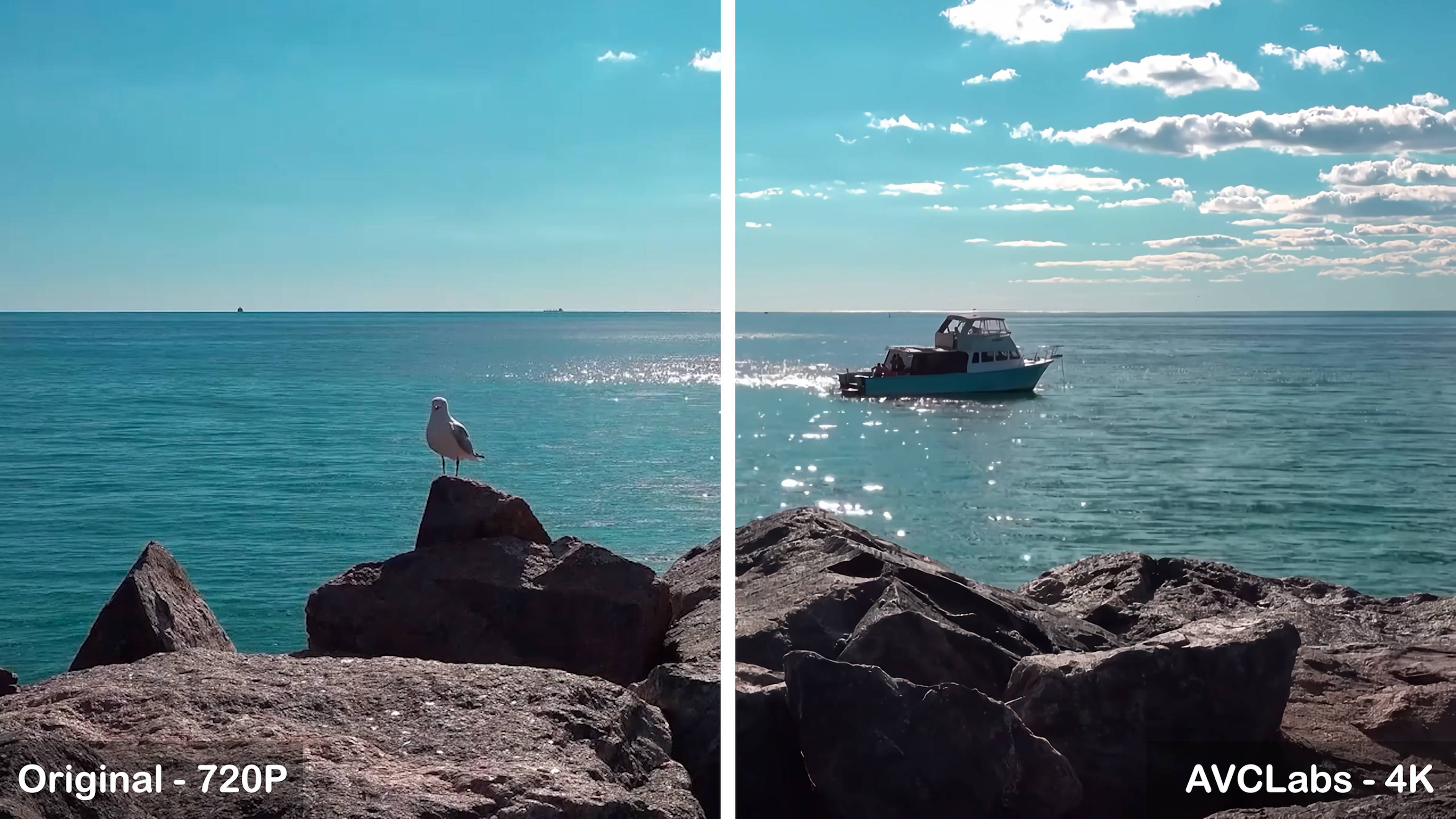 AVCLabs Video Enhancer AI Review: Is It Worth Purchasing?