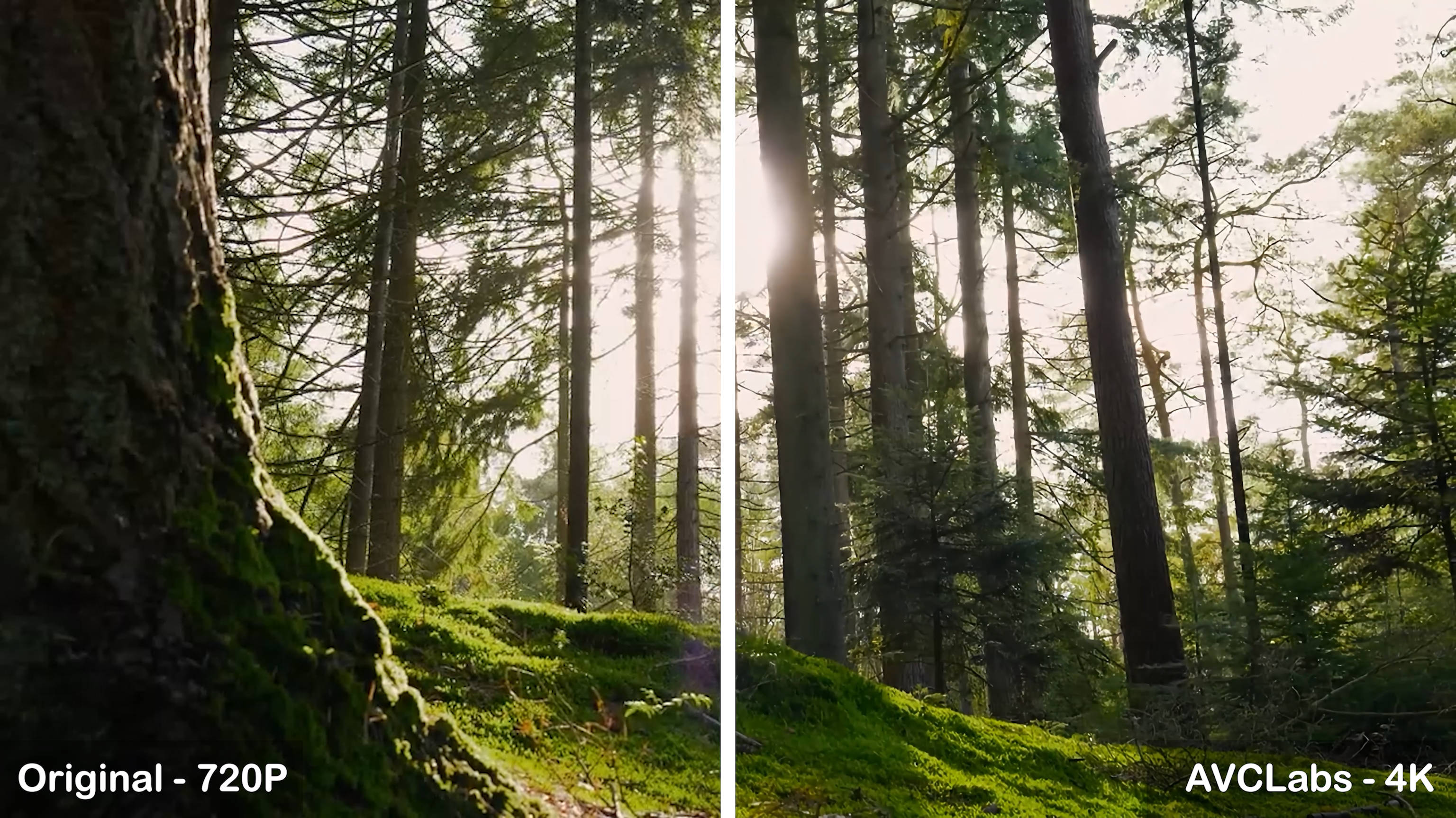 AVCLabs Video Enhancer AI Review: Is It Worth Purchasing?