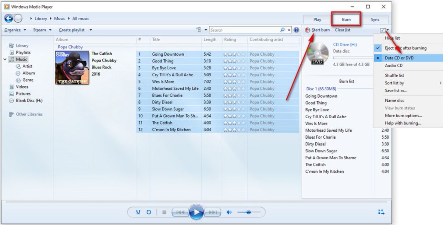Audio DVD Creator: 5 Ways to Burn MP3 to DVD Free