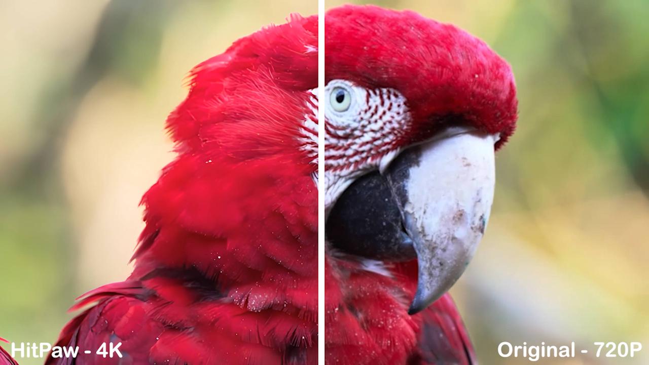 HitPaw Video Enhancer Review: Best Option for Video Upscaling?