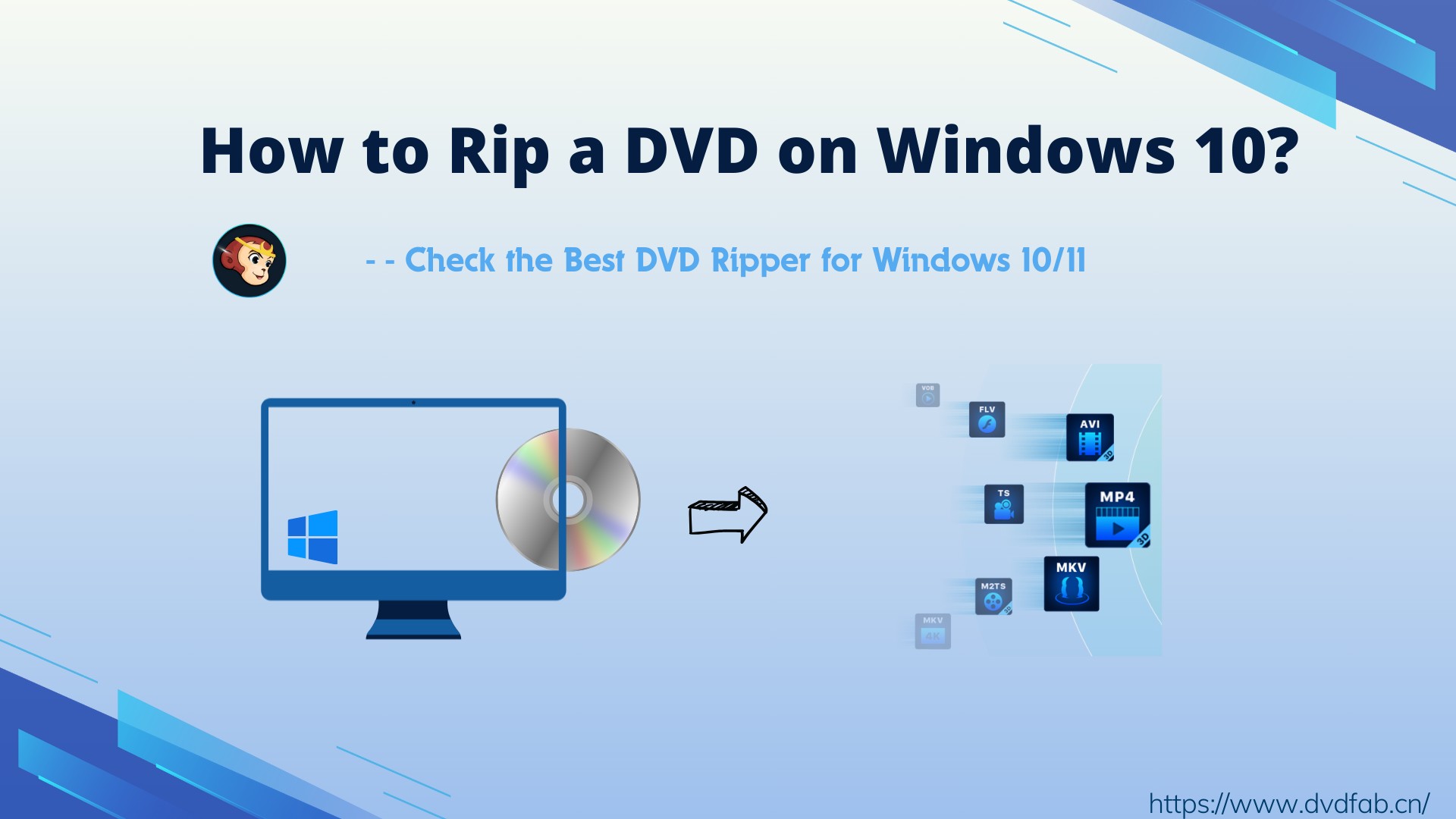 8 Best Free DVD Rippers for Windows 10/11: Reviews & How-to