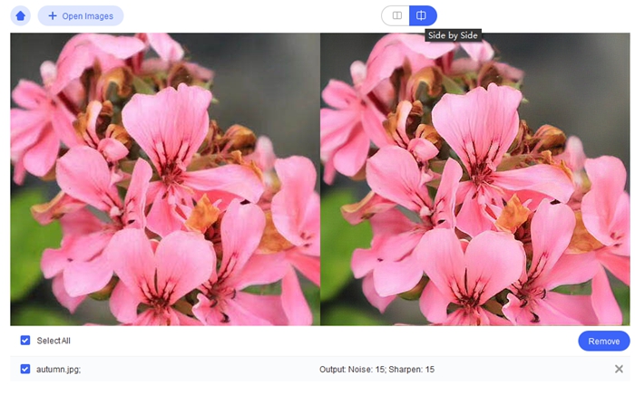 Unblur Image and Photos Free and Fast [Remove Blur From Photo]